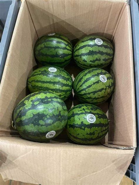 Алтан намар 2023 үзэсгэлэн худалдаа зохион байгуулагдлаа