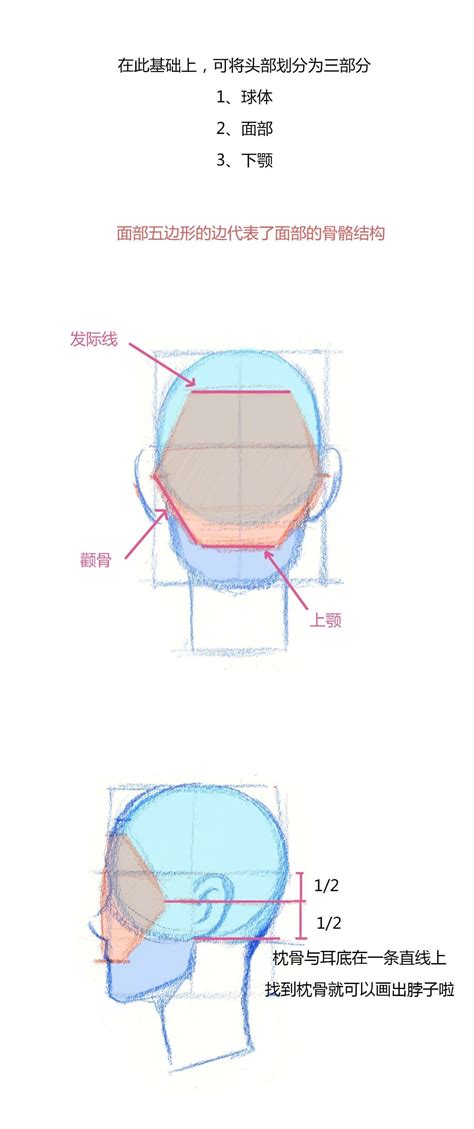 2019人体绘画头部技巧动漫手绘教程 搜狐大视野 搜狐新闻