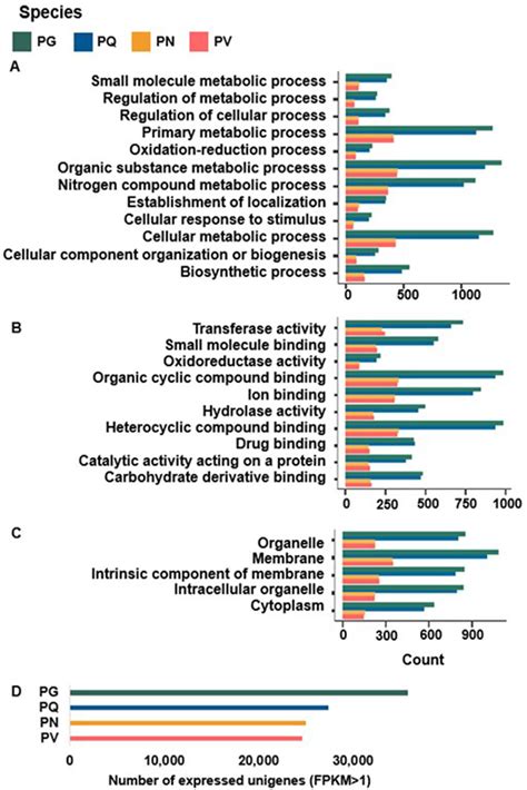 Gene Ontology Go Annotation Of Unigenes And Transcription Factors In