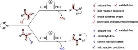 通过电化学脱羧和脱水选择性合成酰胺和 α 酮酰胺the Journal Of Organic Chemistry X Mol