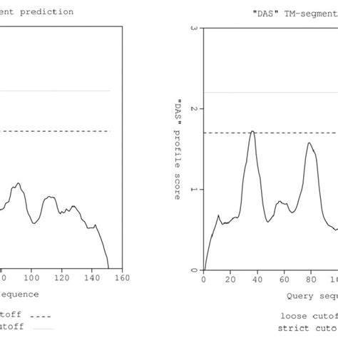 3d Modelling Protein Structure Of Iaa N Acetyltransferase Enzyme From