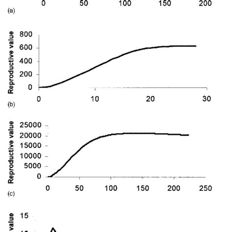Patterns Of Variation In Age Specific Reproductive Value V X With
