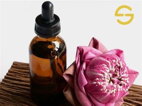Lotus Liquid Extract At Kg Kamal Extract In New Delhi ID