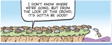 Fallacy Meme Examples Flashcards Quizlet