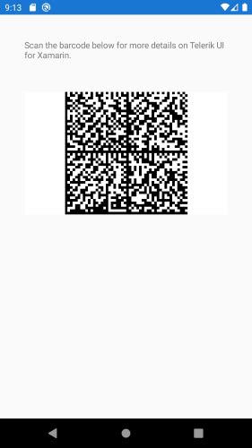 Create Datamatrix Barcodes With Telerik Ui For Xamarin