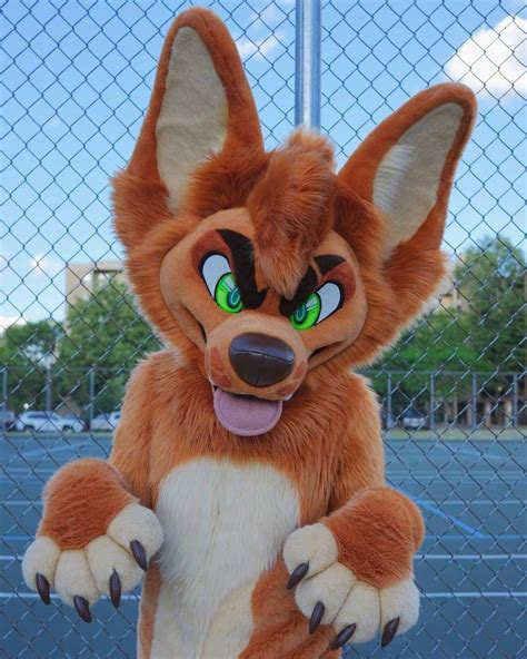 Ultimate Guide On All The Different Types Of Fursuits Artofit