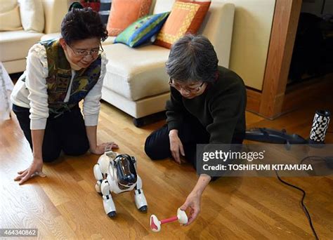 Yasuko Suzuki Photos And Premium High Res Pictures Getty Images