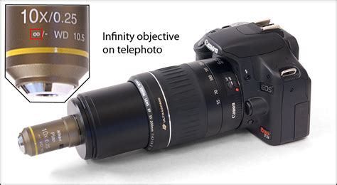 Macro Photography With Microscope Objectives At Eugene Mash Blog