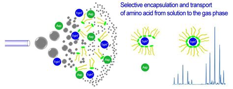 Publications Chemistry And Biochem