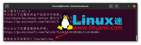 如何在 Ubuntu 上安装 Sql Server 和 Sql Server Cli 工具 Linux迷