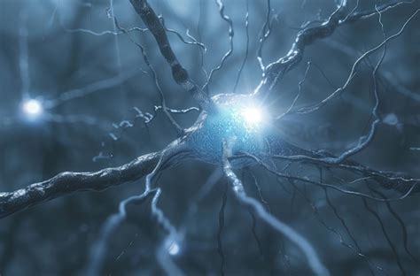 Premium Photo Neural Network Activity With Electric Synapse Charge