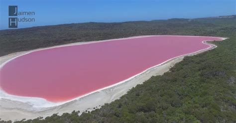 실제로 존재하는 핑크빛 호수의 정체
