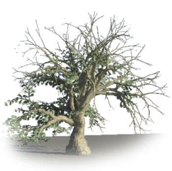 Grasshopper Data Tree Editing TOI Pedia Grasshopper Data Tree Editing TOI Pedia