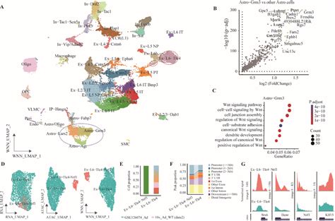 Welcome To Laboratory Of Multi Omics And Tumor Mot Sihn Jinlab