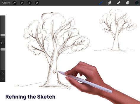 How To Draw Tree In Procreate From Sketch To Finish Brush Galaxy