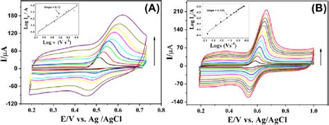 Cyclic Voltammetry Of A 0 1 Mm Ga B 0 1 Mm Pa In Buffer Solution Of Download Scientific