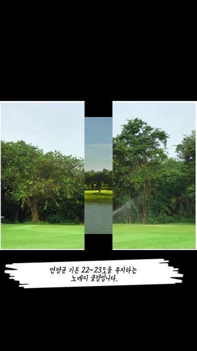 태국 방콕 세븐스타cc 노캐디 골프 여행 Gtgolf Golf 지티골프 노캐디골프 세븐스타cc Youtube