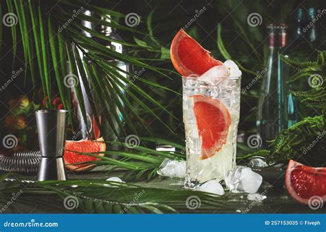 Gin Amer Pamplemousse Boisson Longue Cocktail Avec Gin Tonique Sec Et Glace Fond Vert Profond