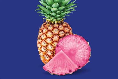 Pink Pineapples And Healthy Fries The New Gm Foods Made For You New