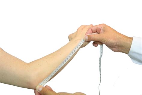 Calculate Height Using Ulna Length At Clinton Richardson Blog