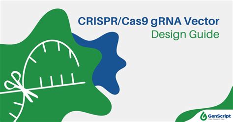 Genscript On Linkedin Crispr Cas9 Genome Editing Has Become Widely Used Due To Its Simplicity…