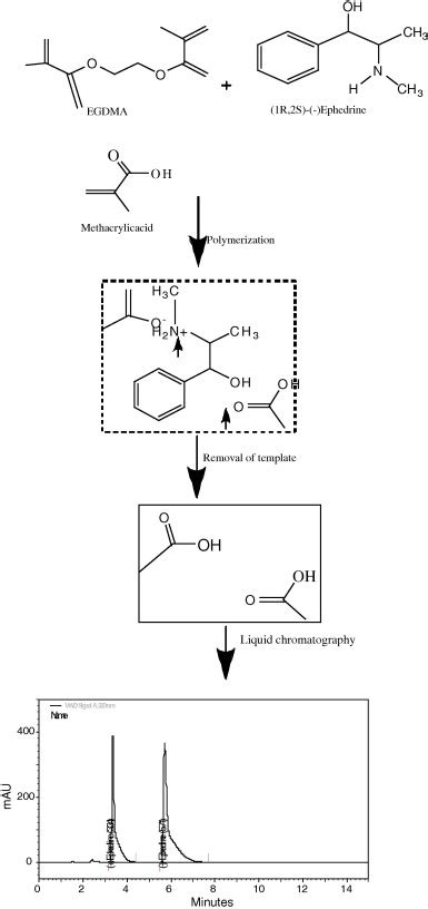 Schematic Representation Of Hypothetical Formation Of Molecularly