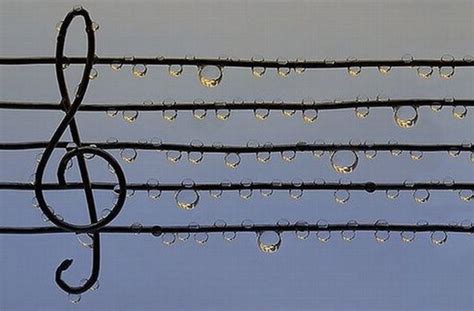 შეკითხვა 1557 მოაზროვნე Net