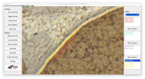 Image Segmentation For Optical Microscope Images Image Analysis