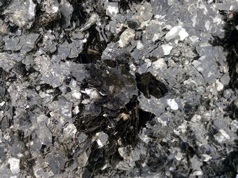 Biotite At Best Price In India