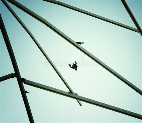 Abstract Image Of Metallic Structure And Flying Birds Stock Image Image Of Silhouette Symbol