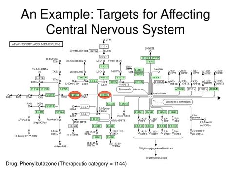 Ppt An Iterative Algorithm For Metabolic Network Based Drug Target