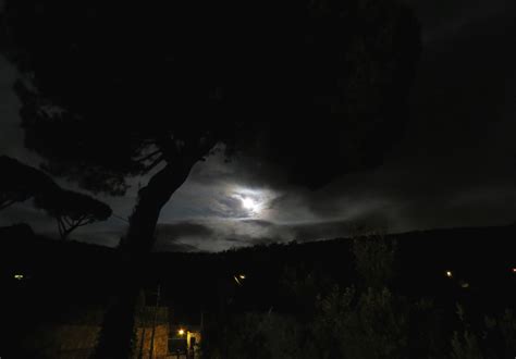 무료 이미지 경치 자연 숲 나무 목재 어두운 어둠 한밤중 신비한 신비주의의 고요한 평화 밤하늘 보름달 구름 빛 월광 지구의 분위기 지질