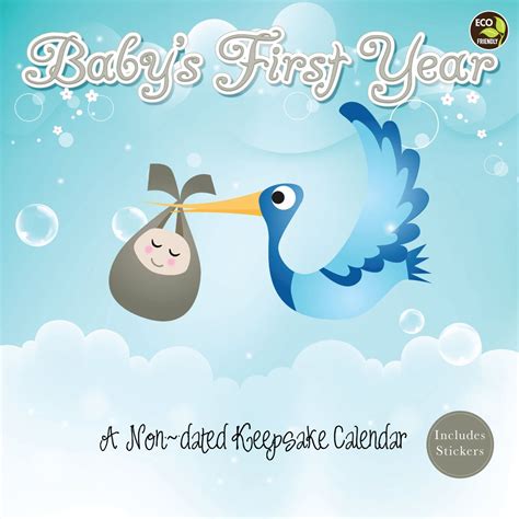 Baby's First Year Calendar: TF Publishing: 9781617764936: Amazon.com: Books