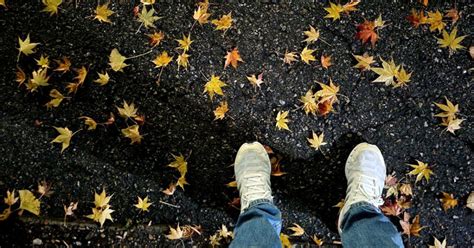 별을 보고 출근하다