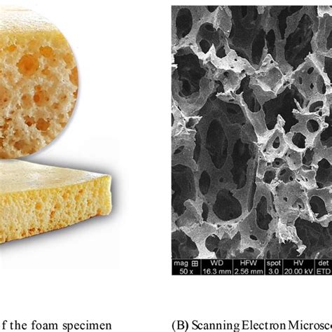 Cellular Morphology Of A Natural Rubber Latex Foam Download