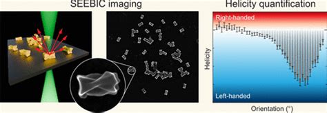 High Throughput Morphological Chirality Quantification Of Twisted And