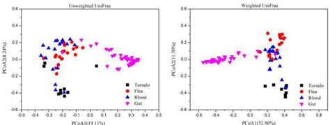 Pcoa Plots Of Unweighted And Weighted Unifrac Distances Comparing The