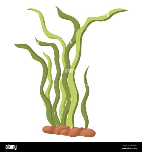 Vector Illustration Of Long Green Algae Isolated On A White Background