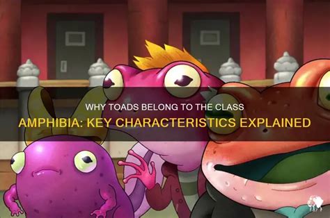 Why Toads Belong To The Class Amphibia Key Characteristics Explained