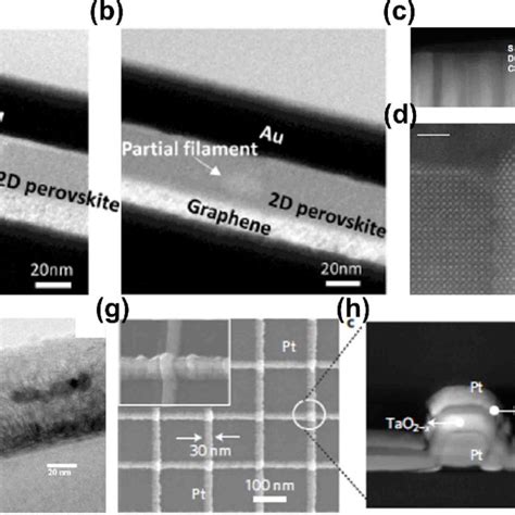 a ltp and ltd process in the tao x based memristor reproduced with