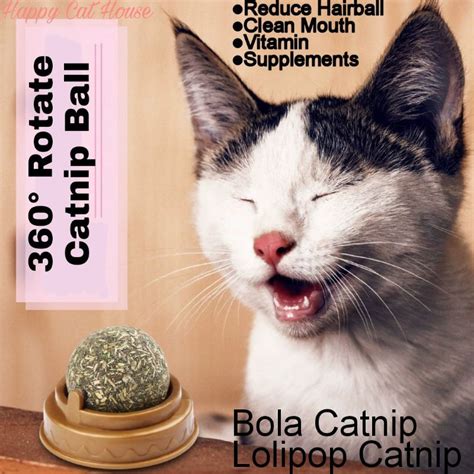 Bola Catnip Kucing Catnip Ball Rotate Lolipop Catnip Vitamin Kucing