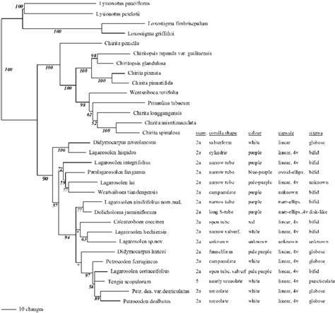 single most parsimonious tree based on combined trnl f and its data