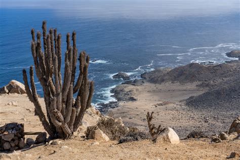 How Can Deserts Form Next To Oceans Live Science