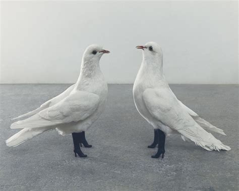 Exhibition Bárbara Sánchez Kane And Sofía Alazraki Fortuna Y Fetiche