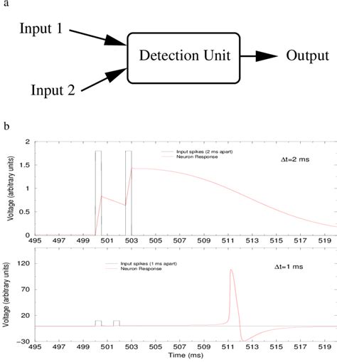 a schematic of the detection unit it receives two input spikes at