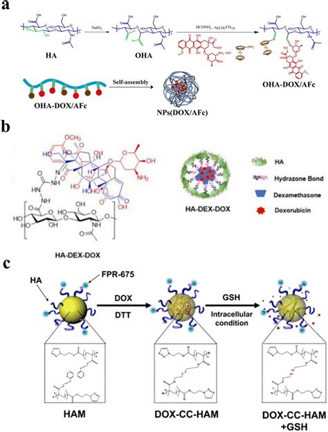 Hyaluronic Acid Hydrogels And Interpenetrating Networks At Ebony