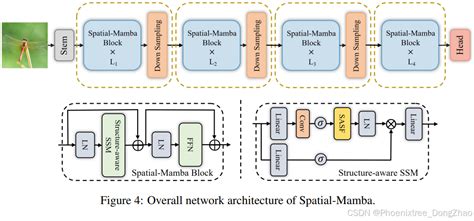 Iclr2025 Spatial Mamba：基于结构感知状态融合的有效视觉状态空间模型 深度学习 Phoenixtree Dongzhao 2048 Ai社区