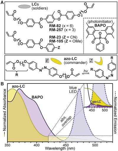 A Chemical Structures For Lcs And Photoinitiator B Overlay Of