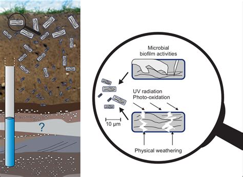 Plastic Fragmentation Leading To Secondary Mps And Nps Due To Their Download Scientific