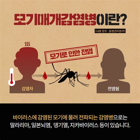 요고해바2 모기매개 감염병 위험한 모기녀석들 전쟁이다 국경 없는 세계의 파괴자 인간을